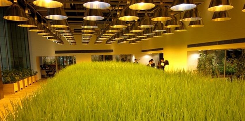 Round table Underground Farming